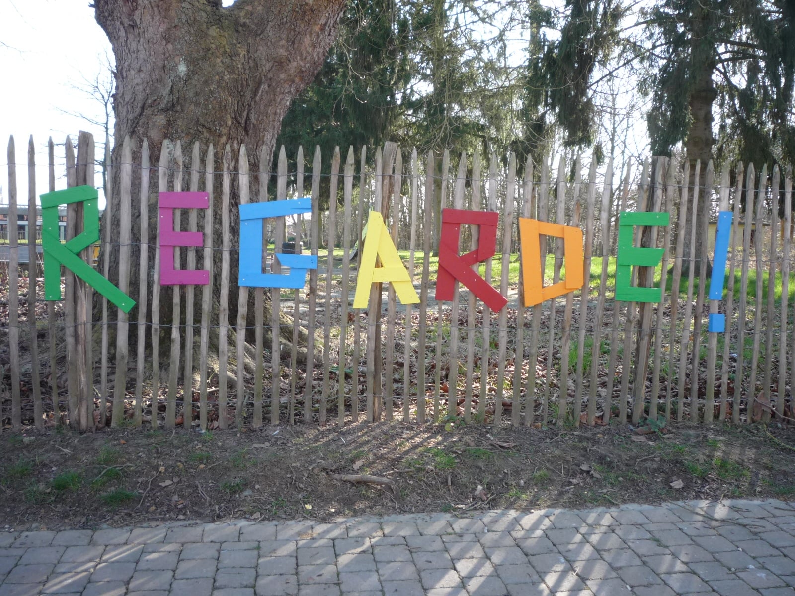 Nos projets - Ecole Decroly Renaix - Decrolyschool franstalige afdeling