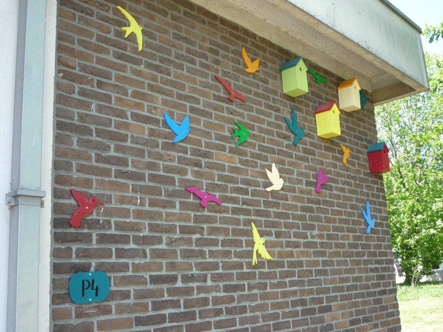 Nos projets - Ecole Decroly Renaix - Decrolyschool franstalige afdeling